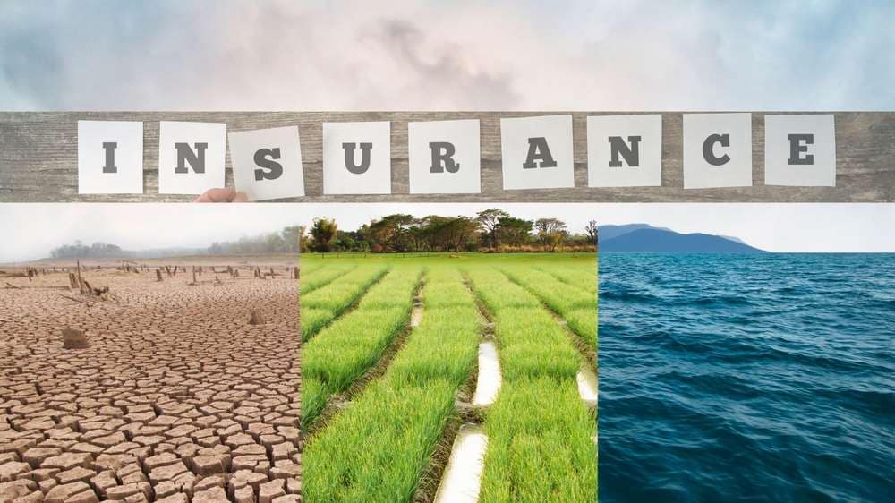 Insurance Companies Swayed by Climate Change - Climate Lens News