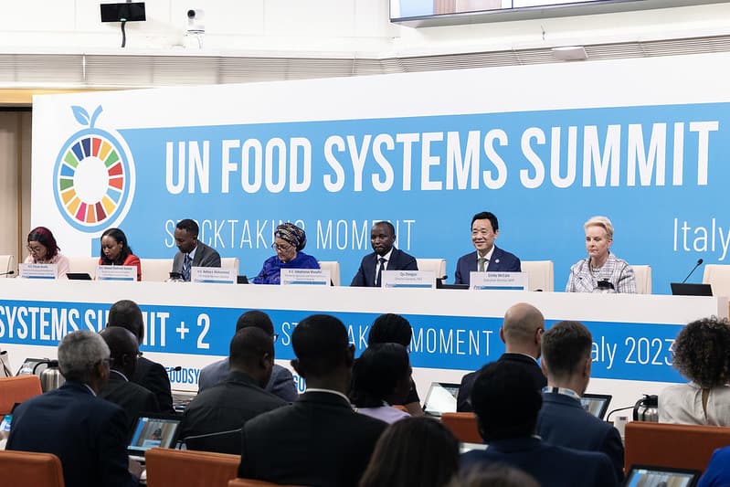 COP28 Calls for Focus on Food Systems and Agriculture - Climate Lens News